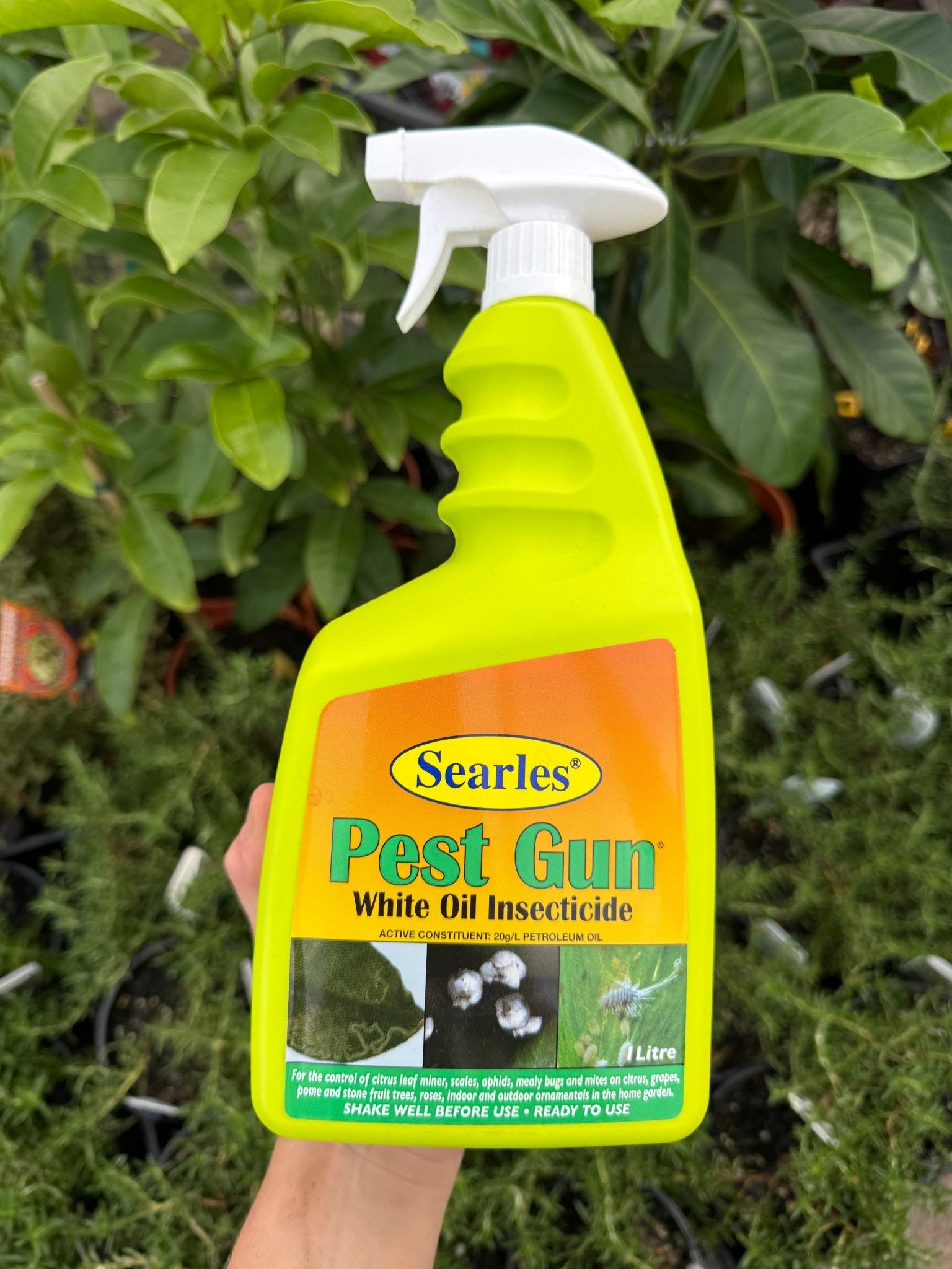 1L Searles Pest Gun White Oil – Ladybird Nursery