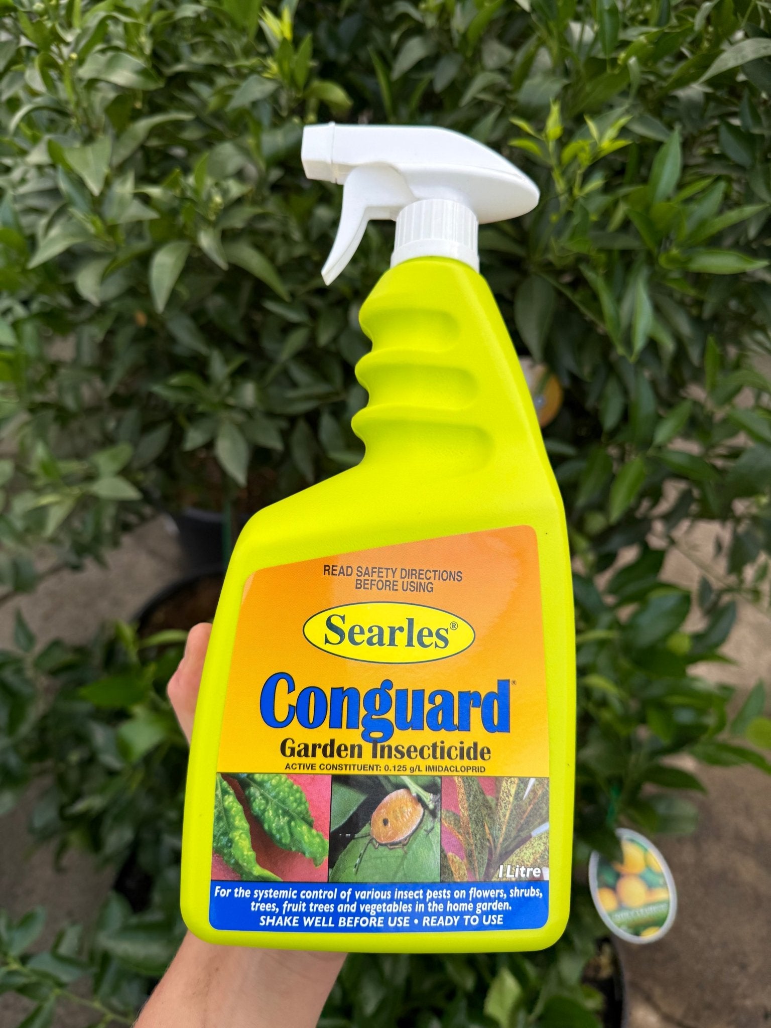 1L Searles Conguard – Ladybird Nursery