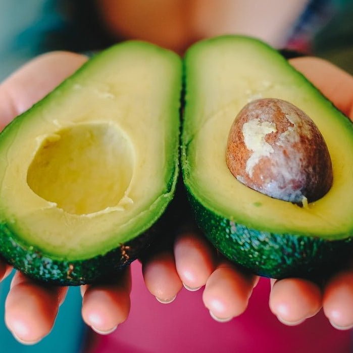 Dwarf Avocado 'Rincon' Fruit Tree – Buy Now! – Ladybird Nursery
