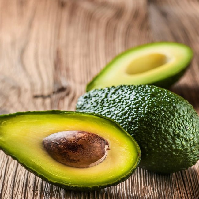Dwarf Avocado 'Shepard' Fruit Tree – Buy Now! – Ladybird Nursery