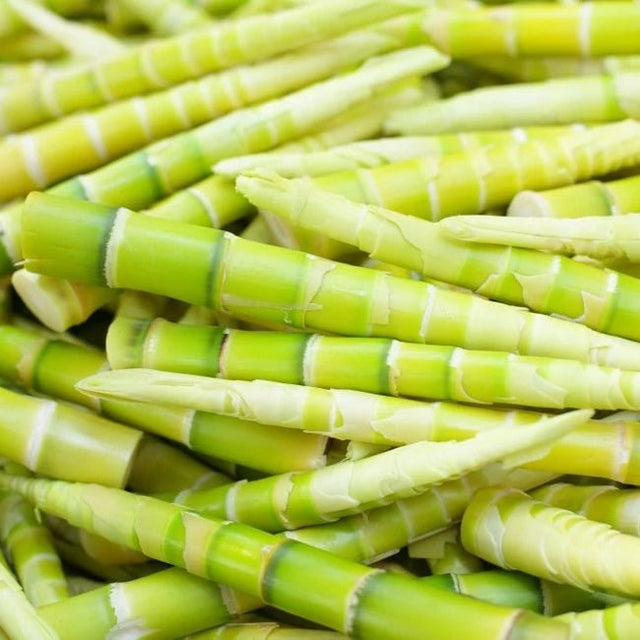 Bamboo Sweet Fruit Tree – Buy Now! – Ladybird Nursery
