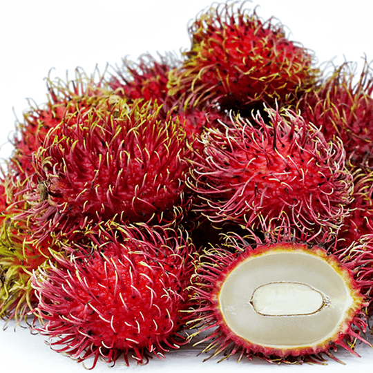 Rambutan Marcot (Grafted) Fruit Tree – Buy Now! – Ladybird Nursery