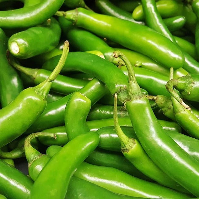 Chilli 'Serrano' Fruit Tree – Buy Now! – Ladybird Nursery