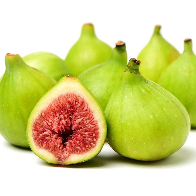 Dwarf Fig Pingo De Mel Fruit Tree – Buy Now! – Ladybird Nursery