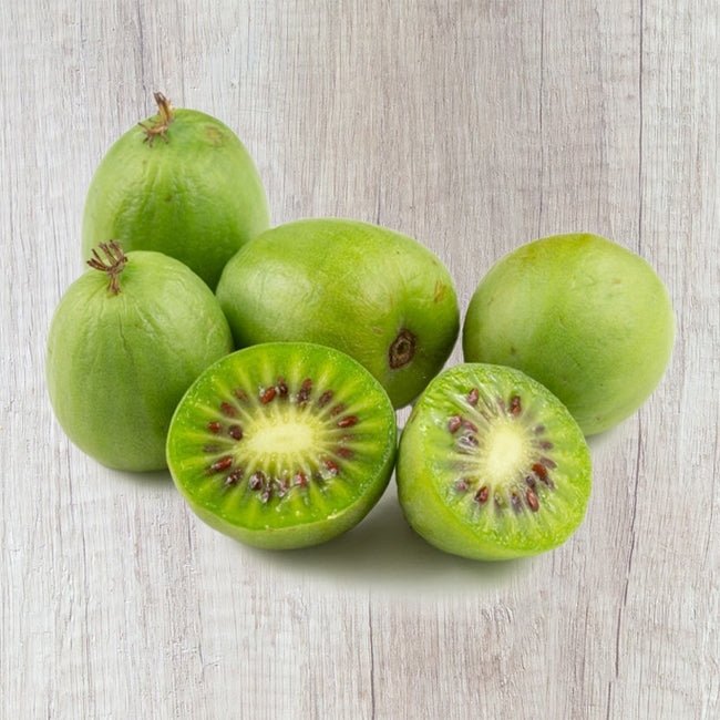 Kiwiberry 'Issai' Fruit Tree – Buy Now! – Ladybird Nursery