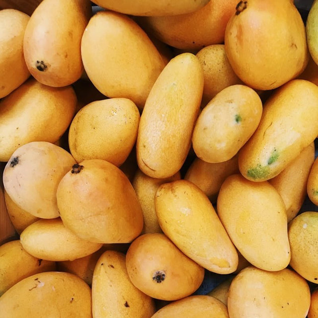 Mango 'Mangga Madu' Fruit Tree – Buy Now! – Ladybird Nursery