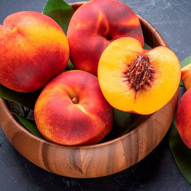 Peach Aztec Gold Fruit Tree – Buy Now! – Ladybird Nursery