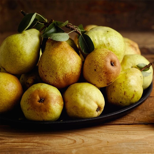 Williams Pear Fruit Tree – Buy Now! – Ladybird Nursery
