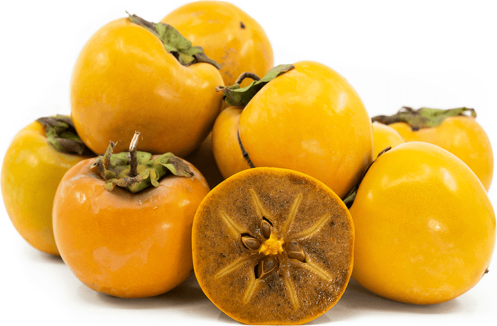 Persimmon – Ladybird Nursery