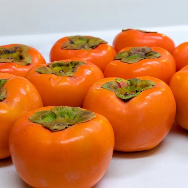 Persimmon – Ladybird Nursery