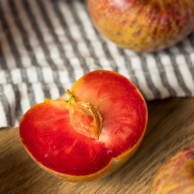 Plumcot 'Flavour Supreme' Fruit Tree – Buy Now! – Ladybird Nursery
