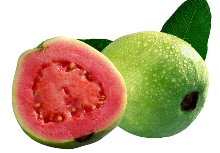 Guava – Ladybird Nursery
