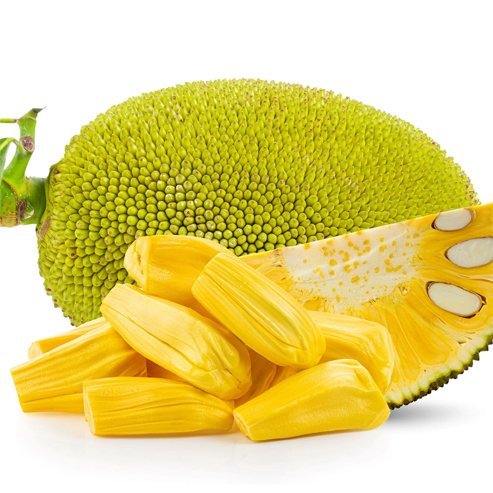 Galaxy Jackfruit Fruit Tree – Buy Now! – Ladybird Nursery