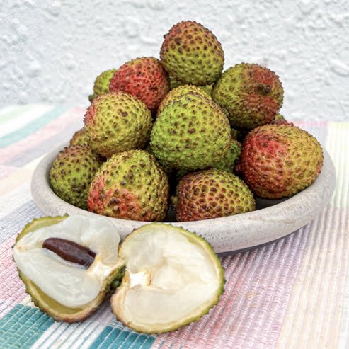 Lychee Fay Zee Siu Fruit Tree – Buy Now! – Ladybird Nursery