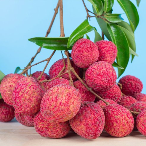 Lychee – Ladybird Nursery
