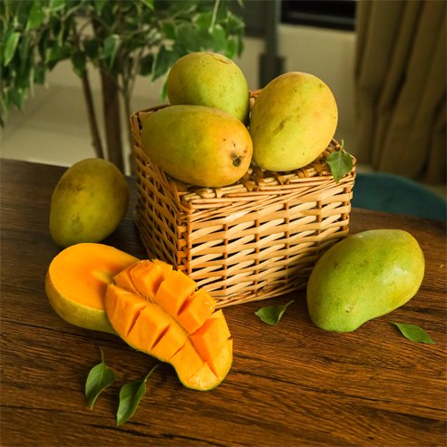 Mango ‘Harumanis’ Fruit Tree – Buy Now! – Ladybird Nursery
