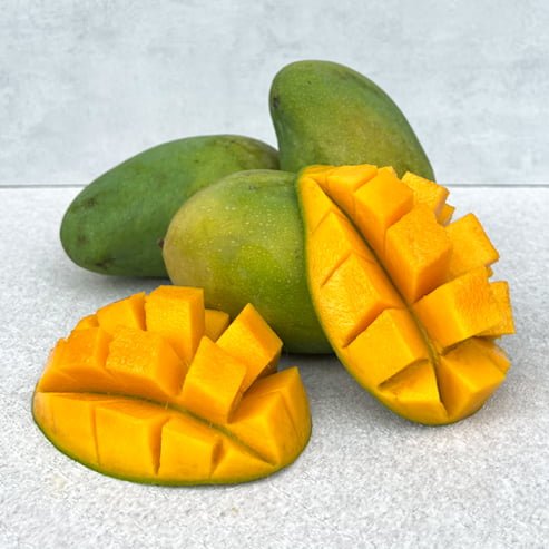 Mango 'Harumanis' Fruit Tree – Buy Now! – Ladybird Nursery