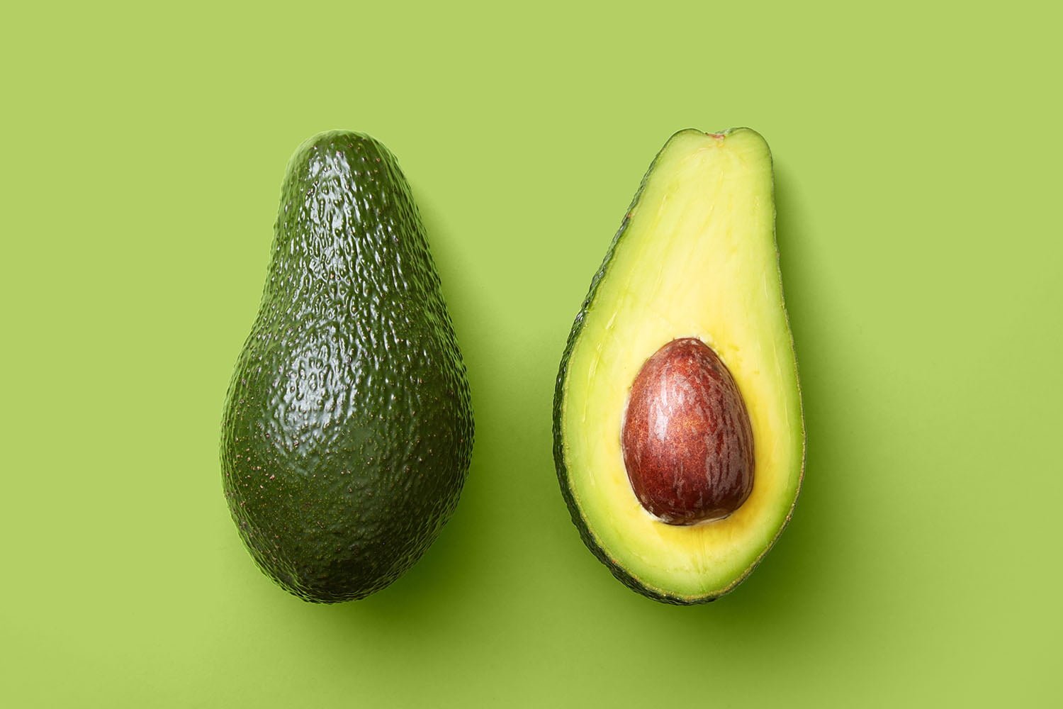 Dwarf Shepard Avocado Fruit Tree – Buy Now! – Ladybird Nursery